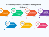 How To Implement Clinical Trial Management System Flex Databases