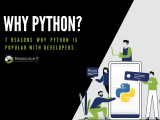 Why Python 7 Reasons Why Python Is Popular With Developers