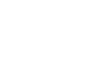 Flip Bit Technology