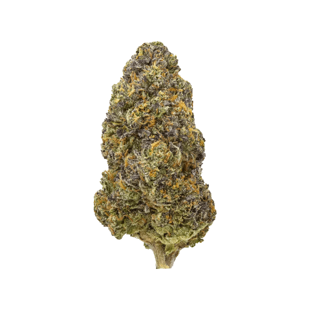 Blue Nerdz Flow Gardens