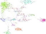 Mapping Github A Network Of Collaborative Coders Flowingdata