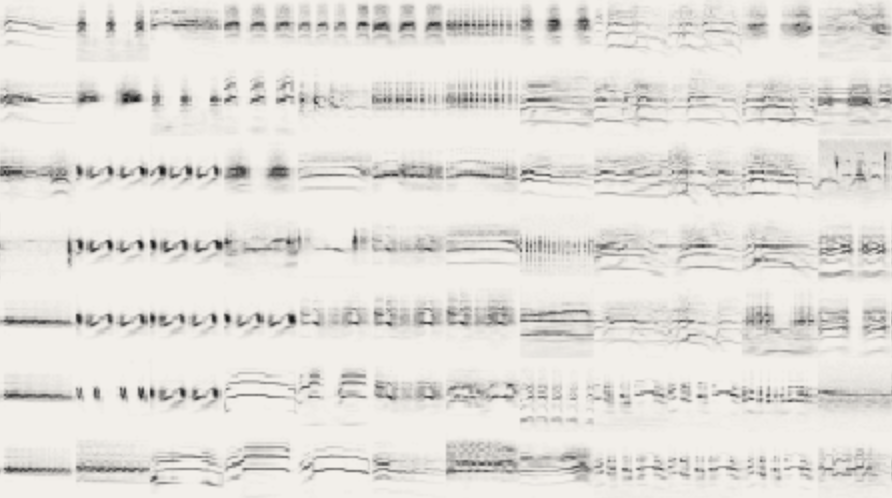 Visual collection of bird sounds | FlowingData