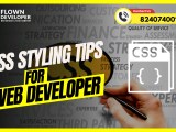 Css Styling Tips For Web Developers