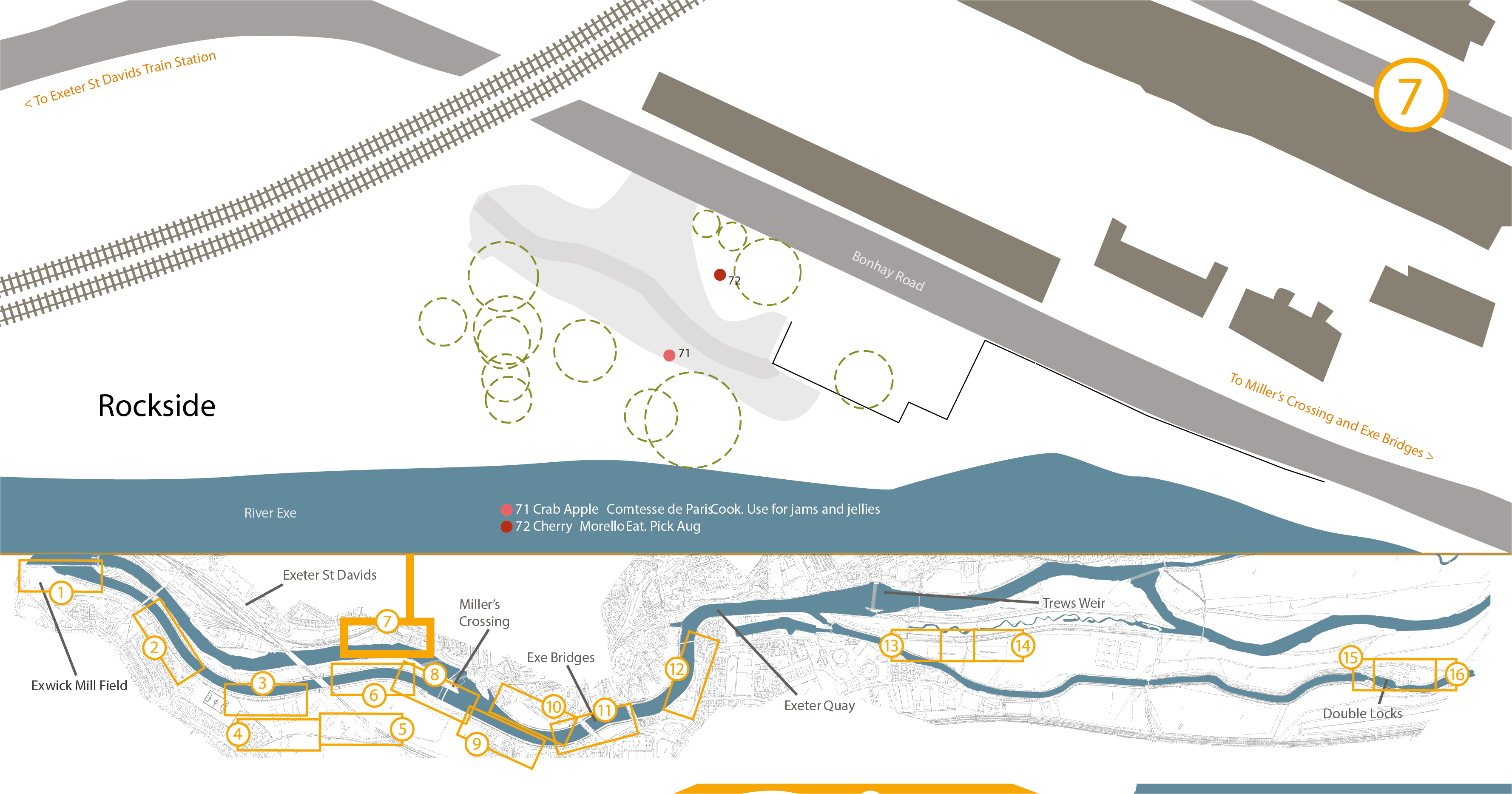 Orchard Maps - FLOW: A RIVER ORCHARD ON THE EXE