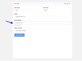 Error Message Customization With Fluent Forms Fluent Forms