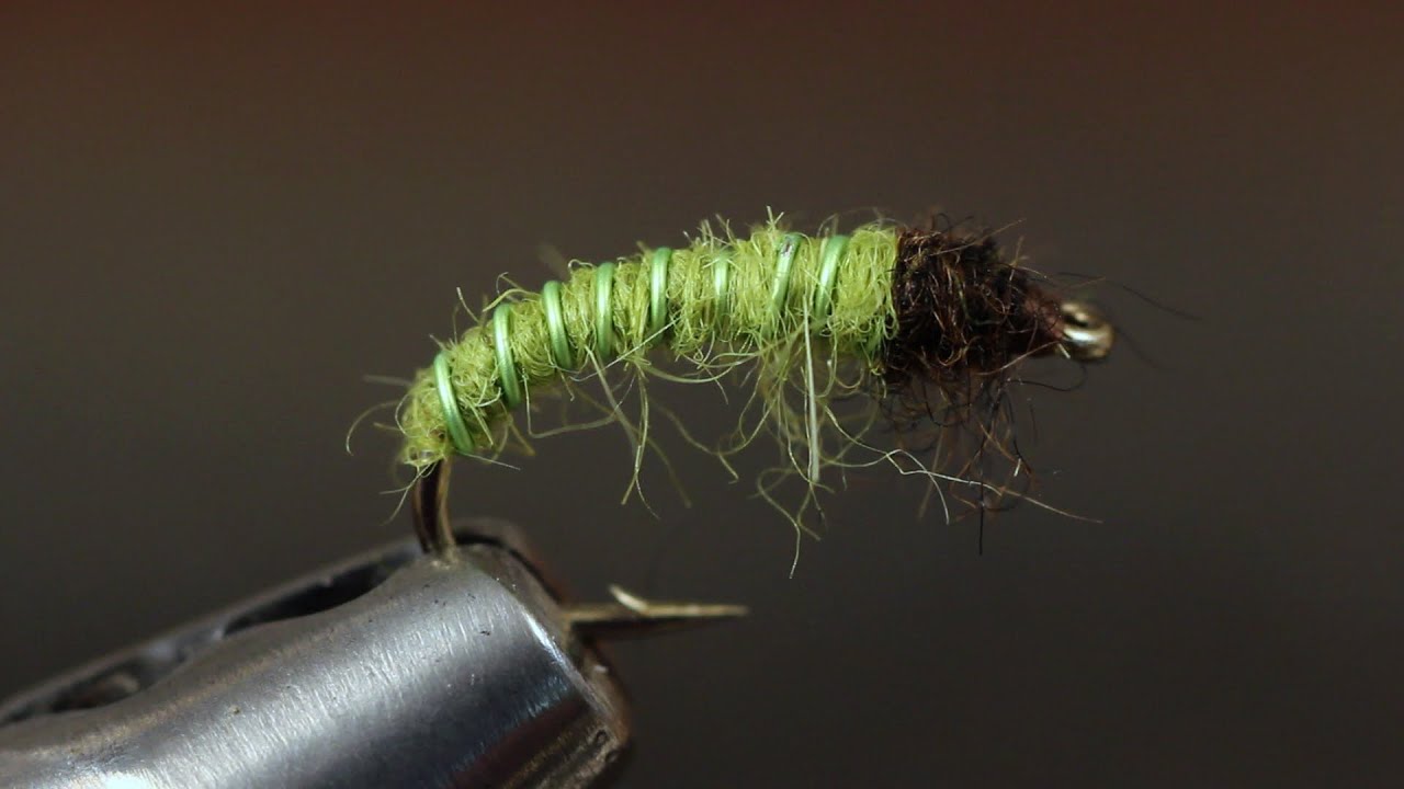 How To Tie Green Caddis Larva Flylords Mag