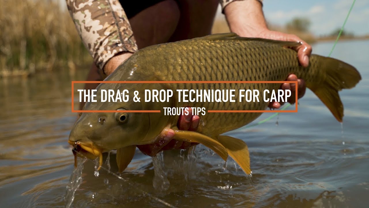 How to Use the Drag & Drop Casting Technique for Carp - Flylords Mag