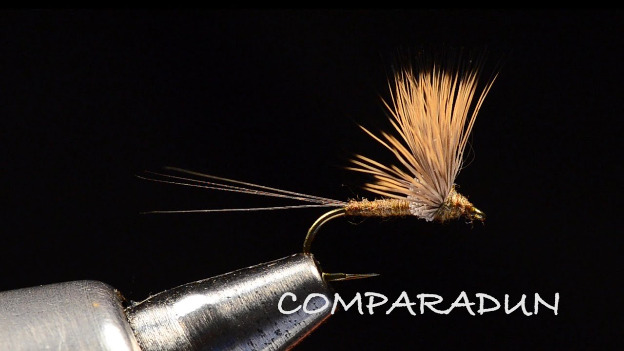 How to Tie: The Comparadun - Flylords Mag
