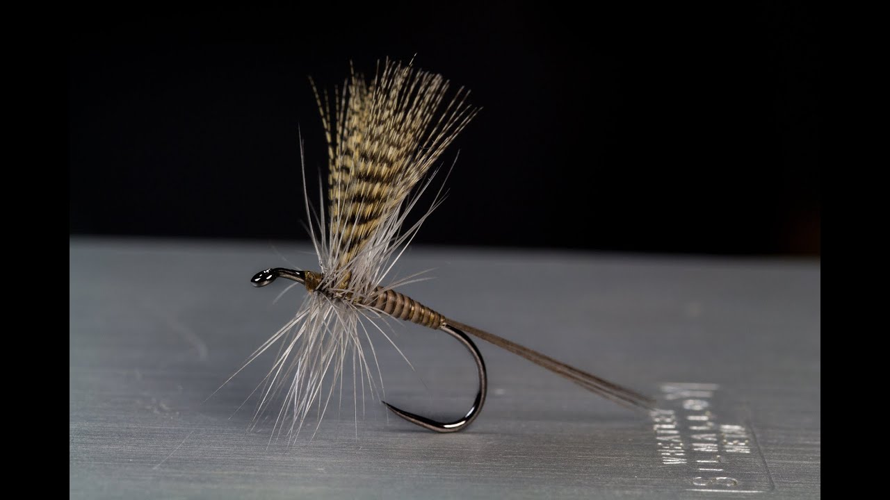 How to Tie: The Quill Gordon - Flylords Mag