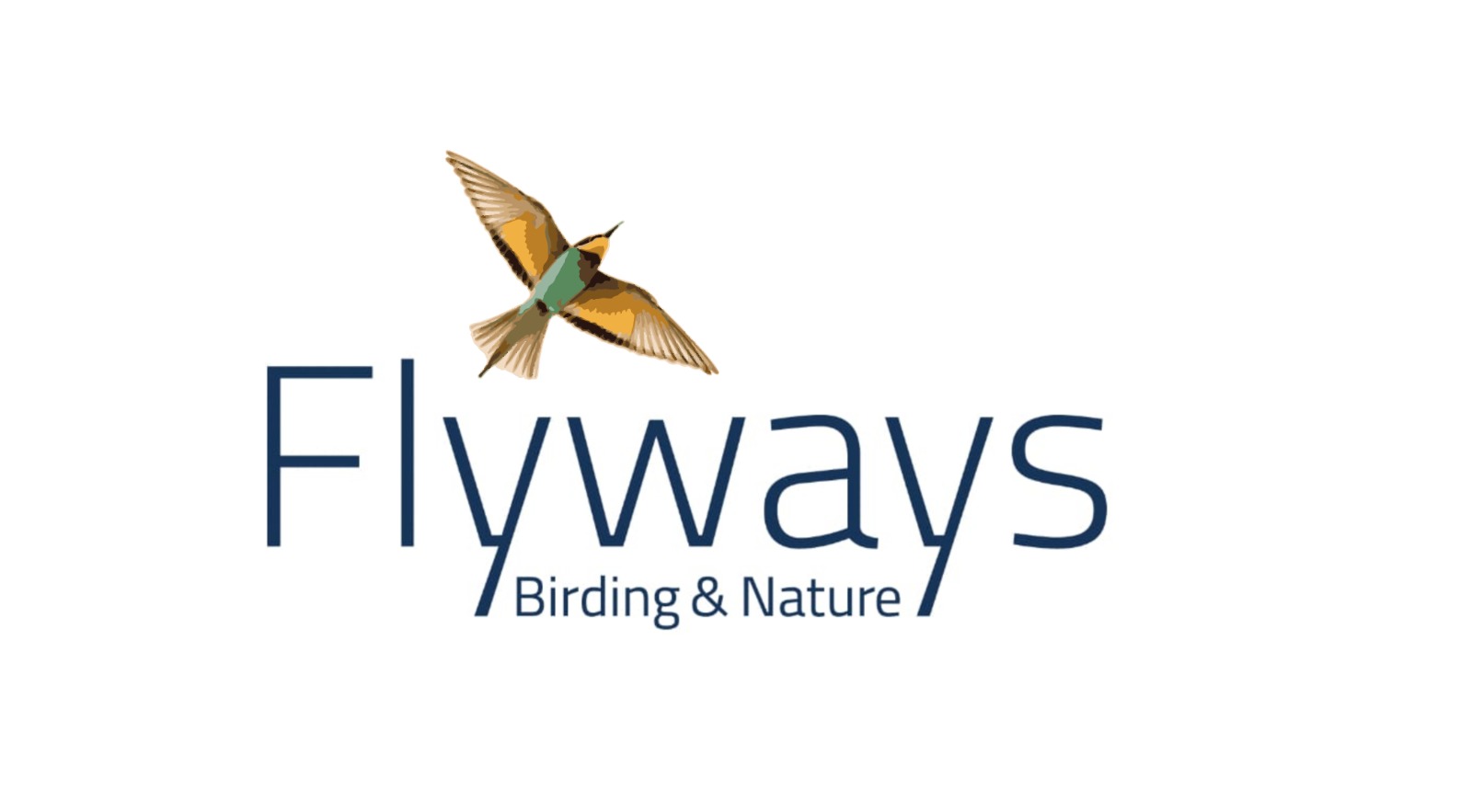 Flyways logo – Flyways Birding