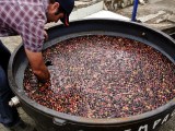 How Coffee Is Made Uncovering The Process Behind Your Cup