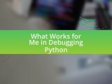 What Works For Me In Debugging Python Foamem