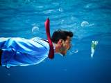8 Ways To Spot A Job Scam Focus Fcu