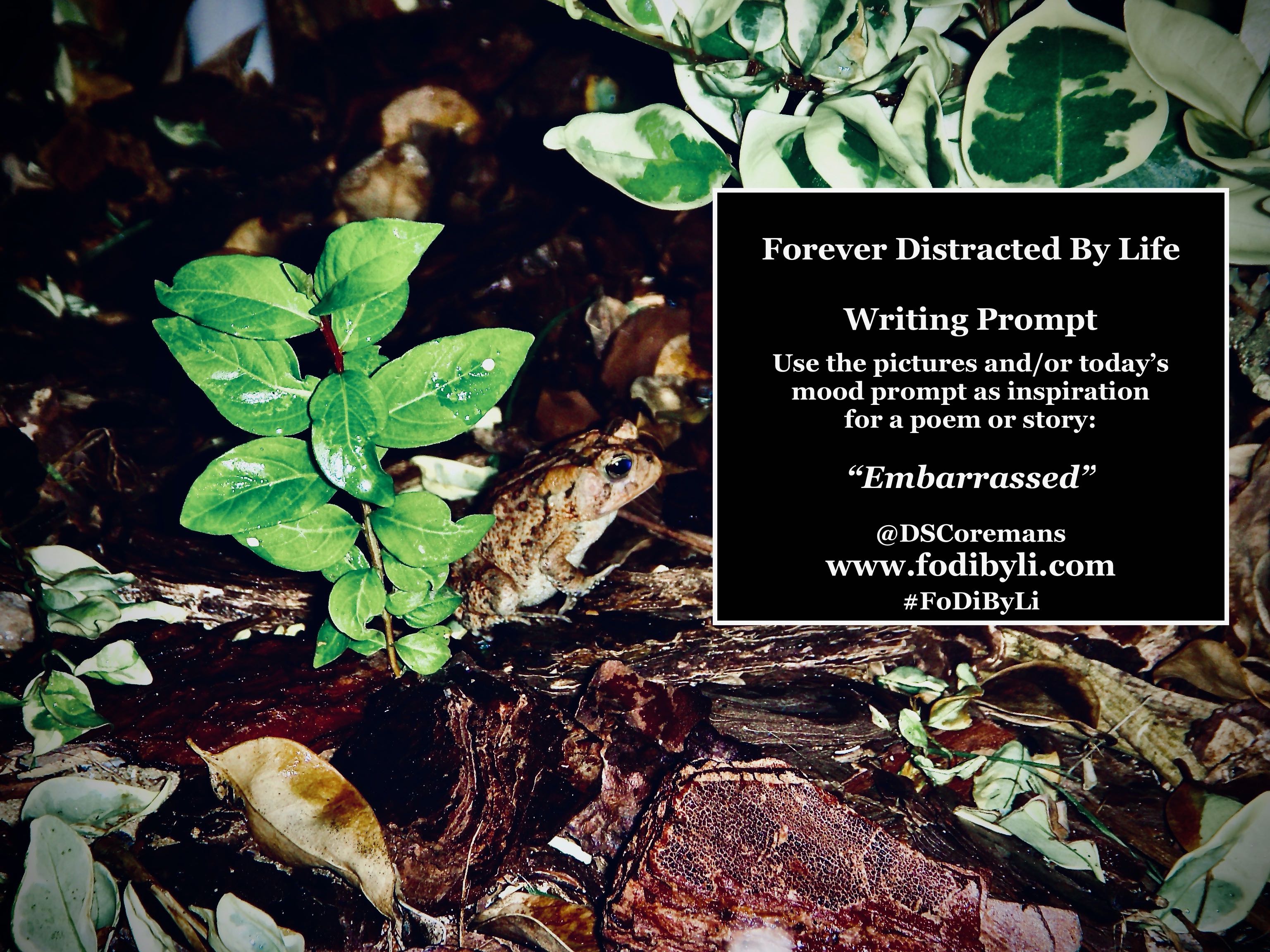 #FoDiByLi Poetry: The Month of Mood #25 – Embarrassed – Forever ...