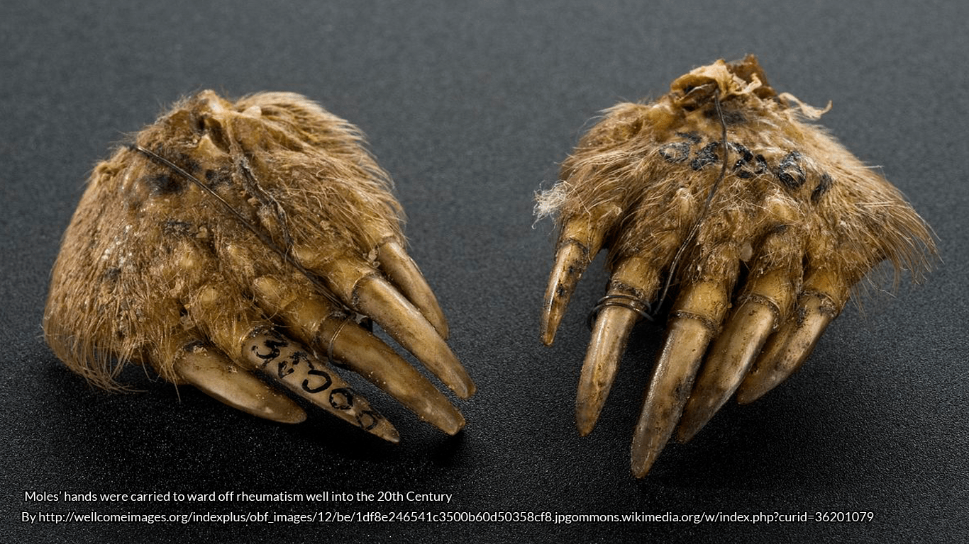 Animal Folklore: A Mole in the Hand - #FolkloreThursday