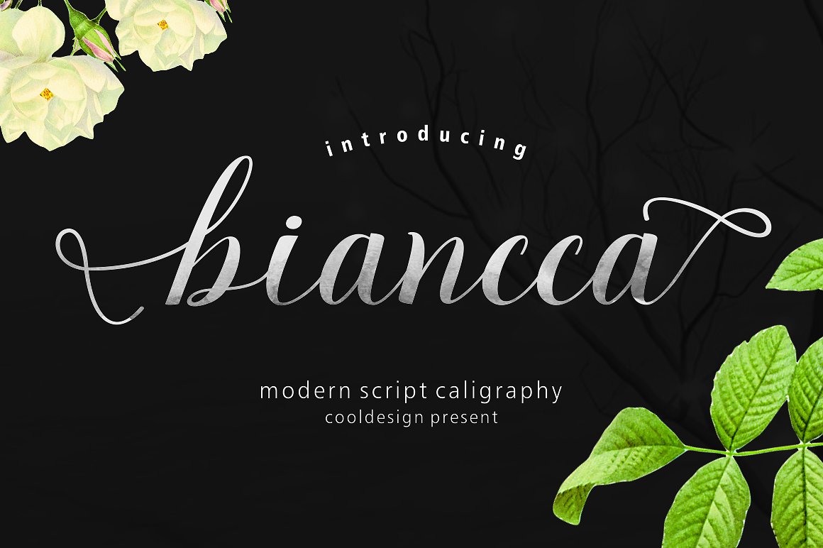 Biancca Script - Download fonts