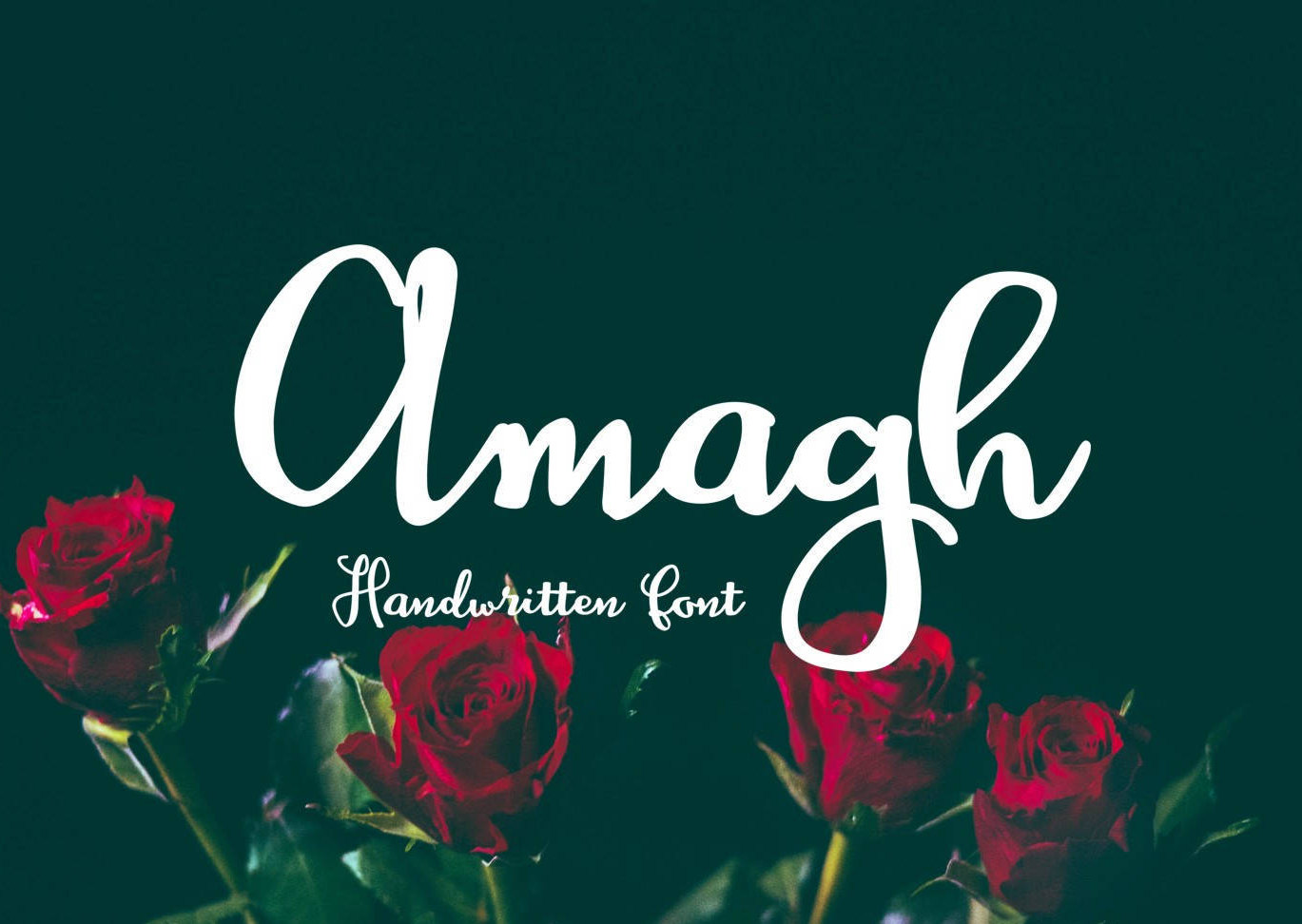 Amagh Script - Download fonts