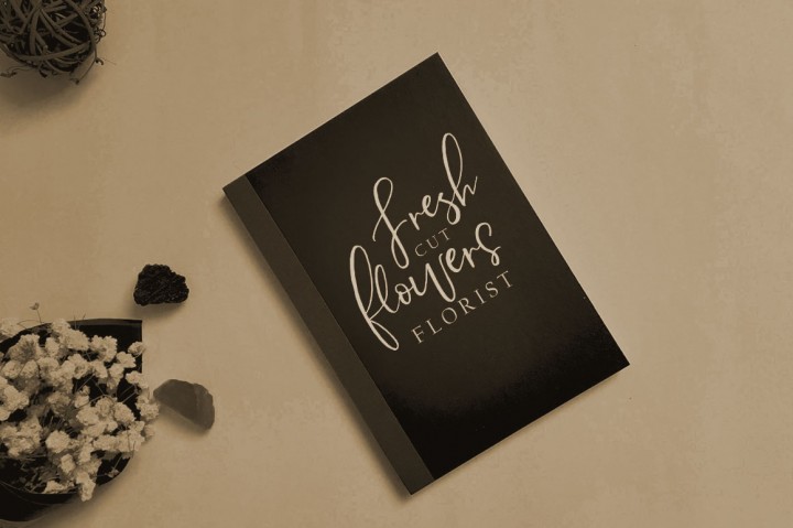 Eminent Script - Download fonts