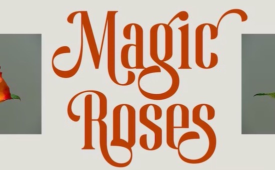 Magic Roses Font - Fontspace.io