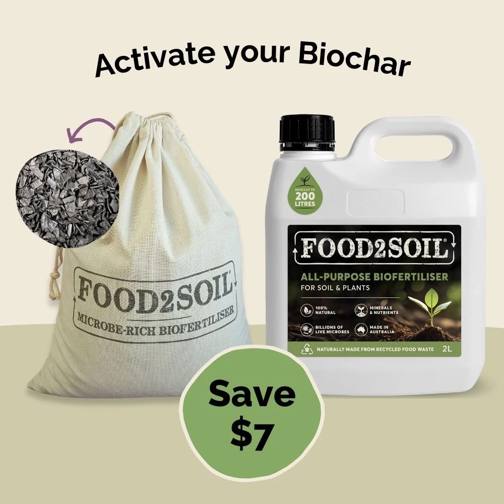 Biochar Activation Kit Simple At Home Kit Save 7 Food2soil
