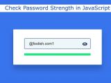 Show Hide Password Toggle In Javascript Free Code