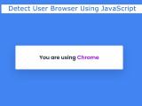 Show Hide Password Toggle In Javascript Free Code