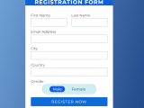 Simple Registration Form Source Code Html Css