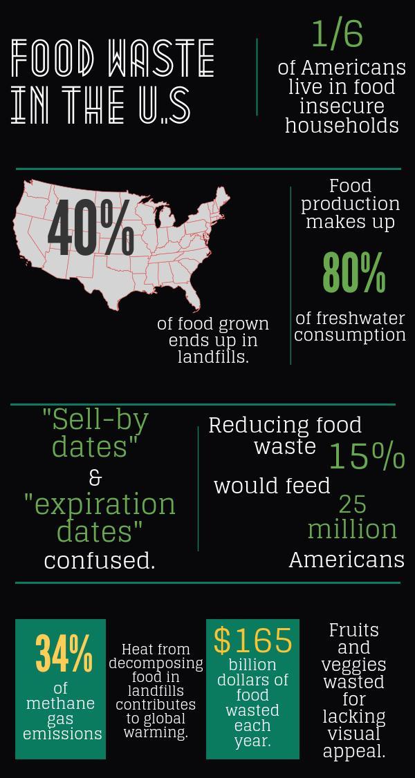 Food waste in America: A growing problem | HS Insider