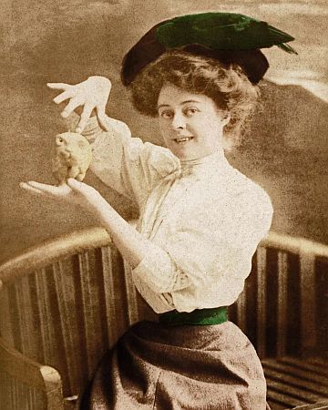 The Dollar Princess (musical play) | Footlight Notes