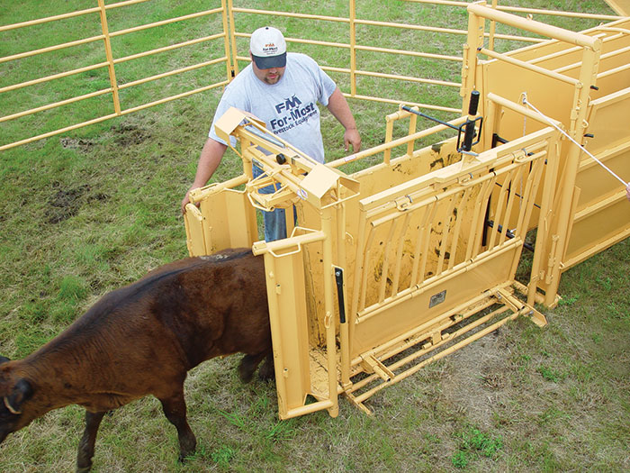 Small Animal Tip Chute - For-Most