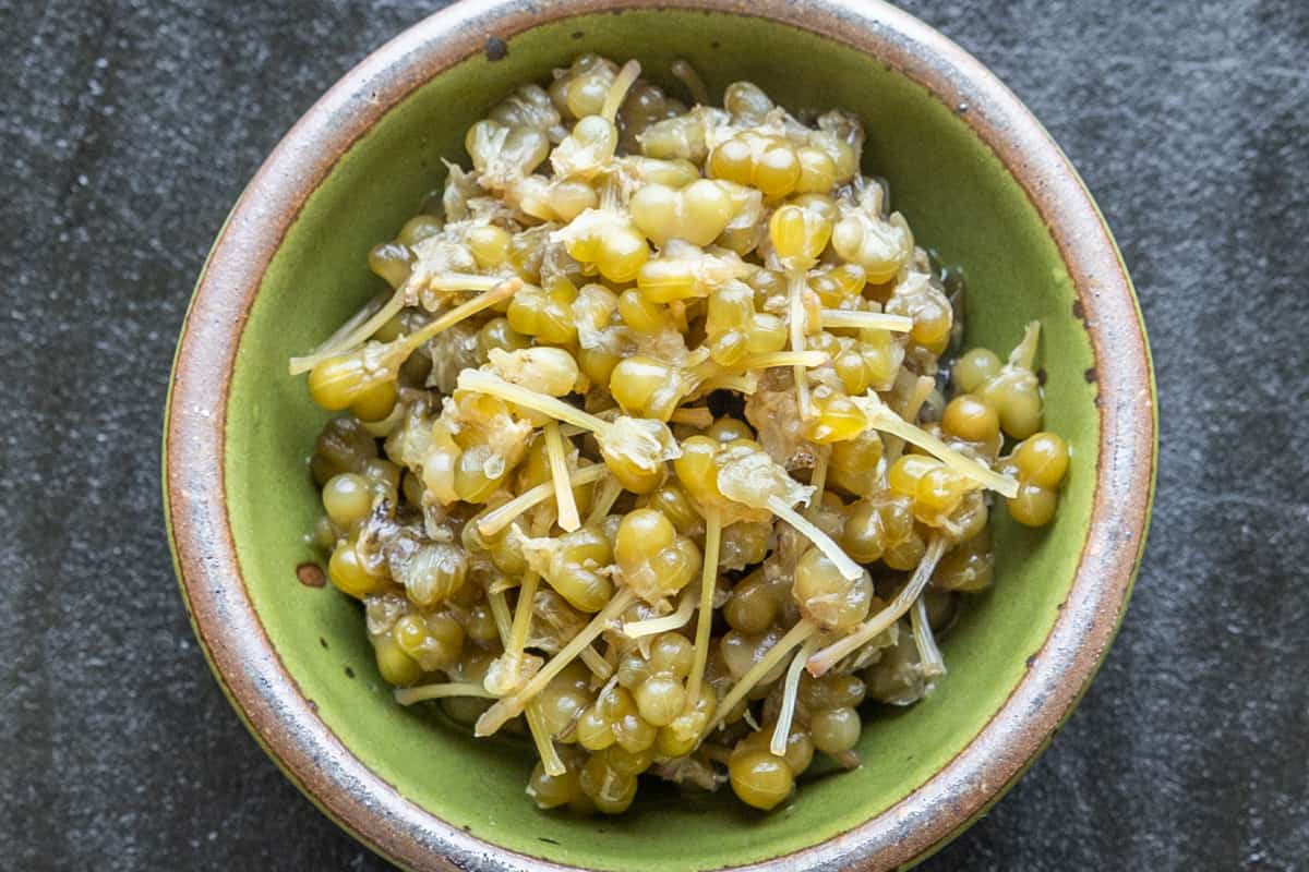 Fermented Ramp Seed Capers