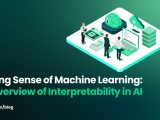 Introduction To Machine Learning Interpretability Methods