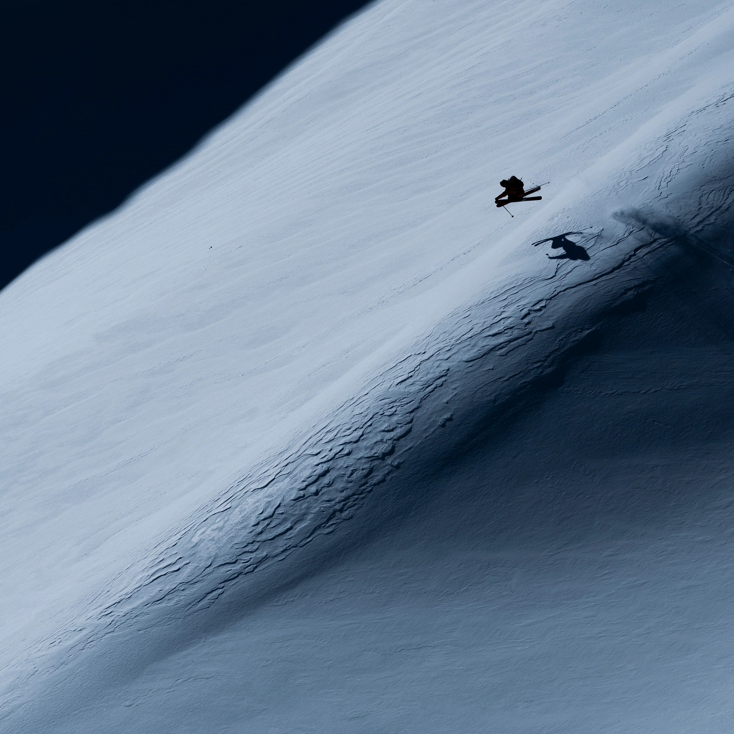 Forecast Issue 8 2 Preview Forecast Ski