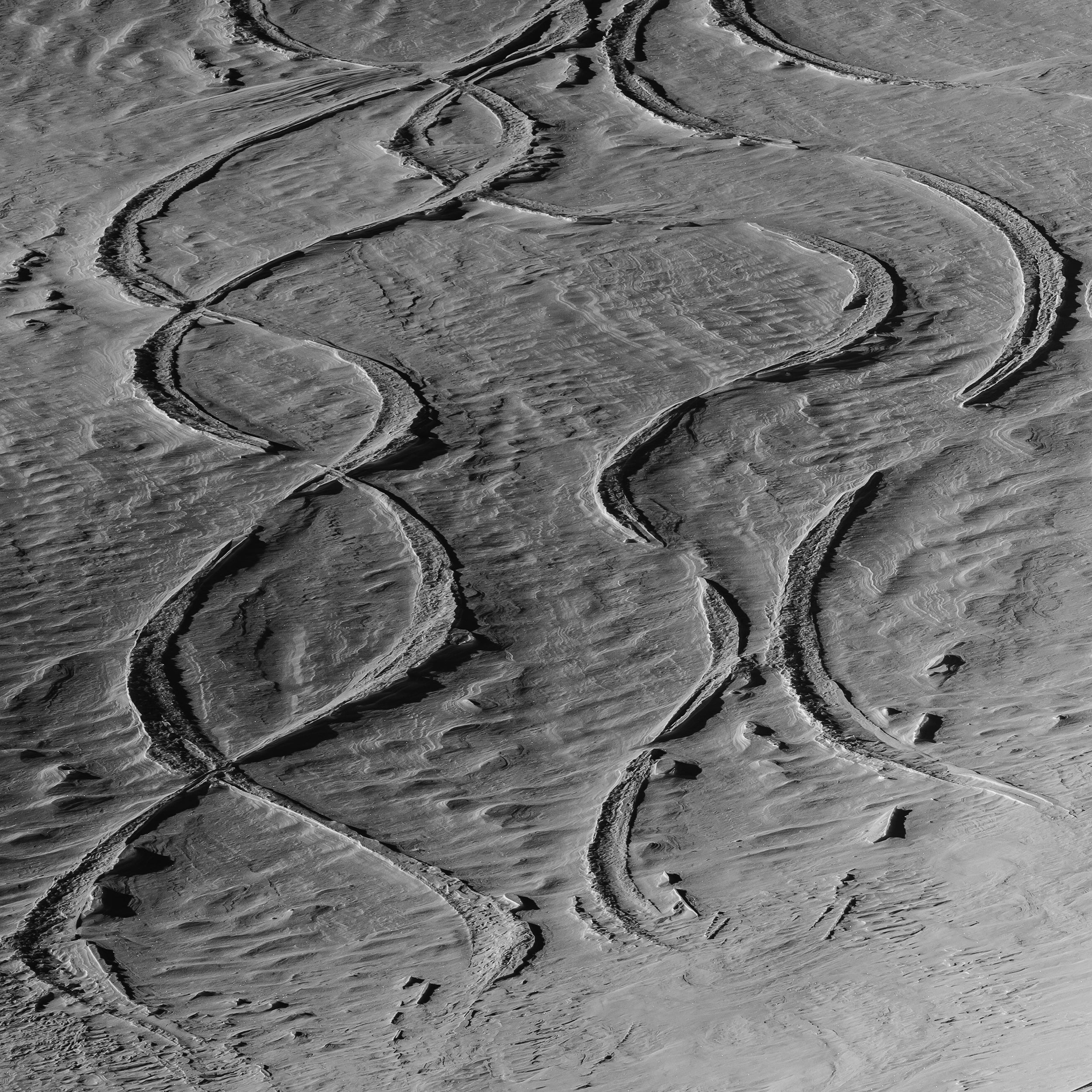 Inside Tracks Forecast Ski