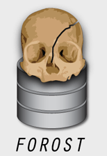 Segundo Seminario Internacional de Antropología Forense – Laboratorio ...