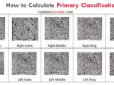 Henry S Fingerprint Classification System Key Major Primary Secondary