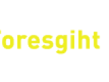 Foresightguide The Foresight Guide