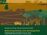 Balancing Forests And Development 2020 Nydf Assessment Report Forest