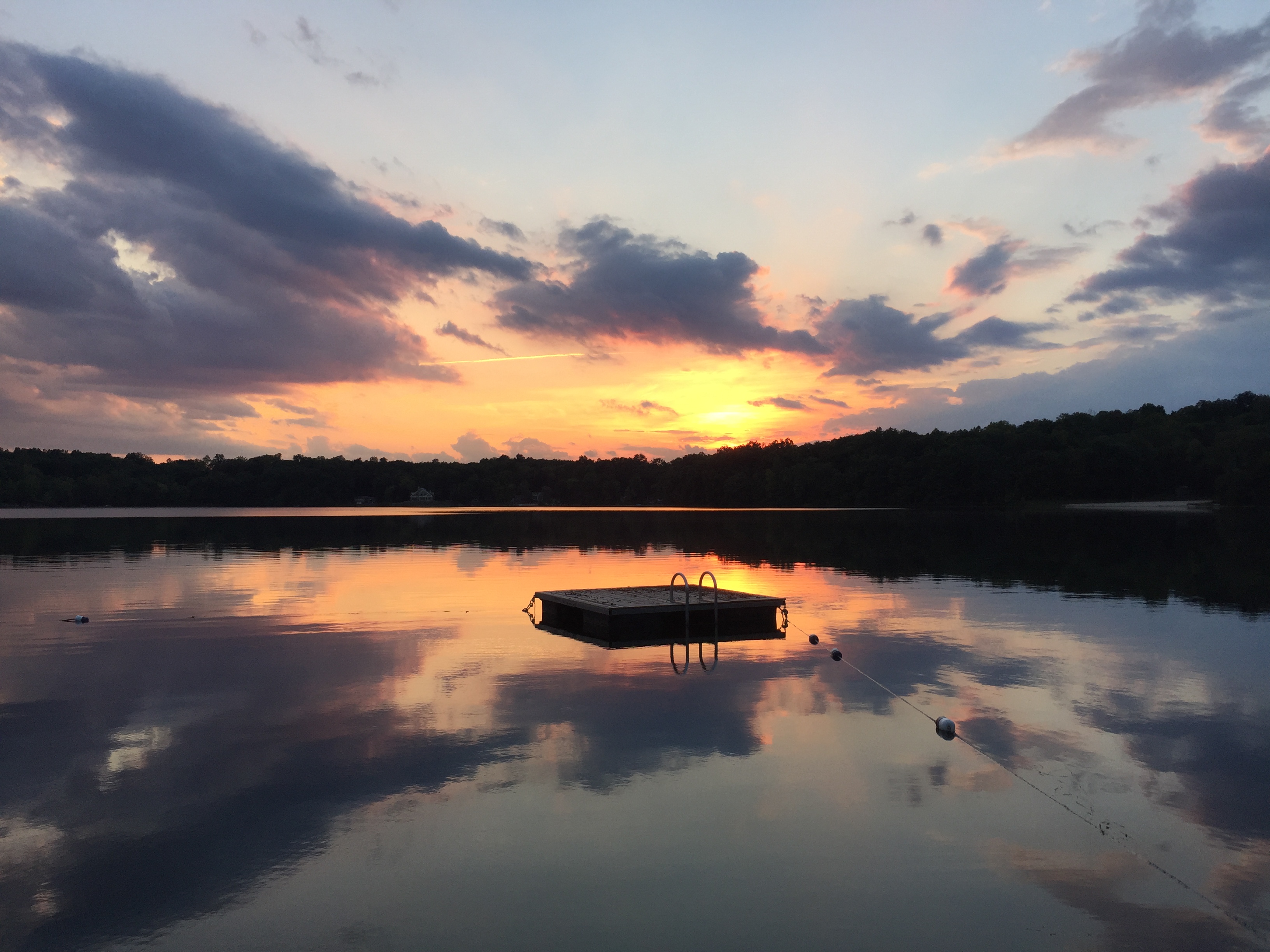 Welcome to Forest Lake Community Cooperative! – Forest Lake