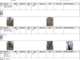 Tree Inventory Software For Municipalities Arborists Cities Towns