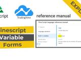 Variable Forms In Pine Script Forexbee