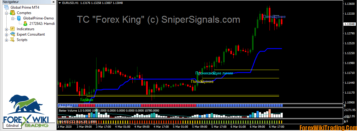 Forex King Trading System – Forex Wiki Trading