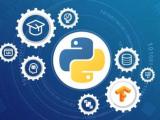 Why Choose Python For Software Development Projects