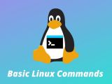 30 Basic Linux Commands For Beginners Linux 101