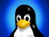 12 Best Linux Distros For Programming In 2025 Fossbytes