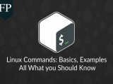 Linux Command Line Basics Examples Cheatsheats Books