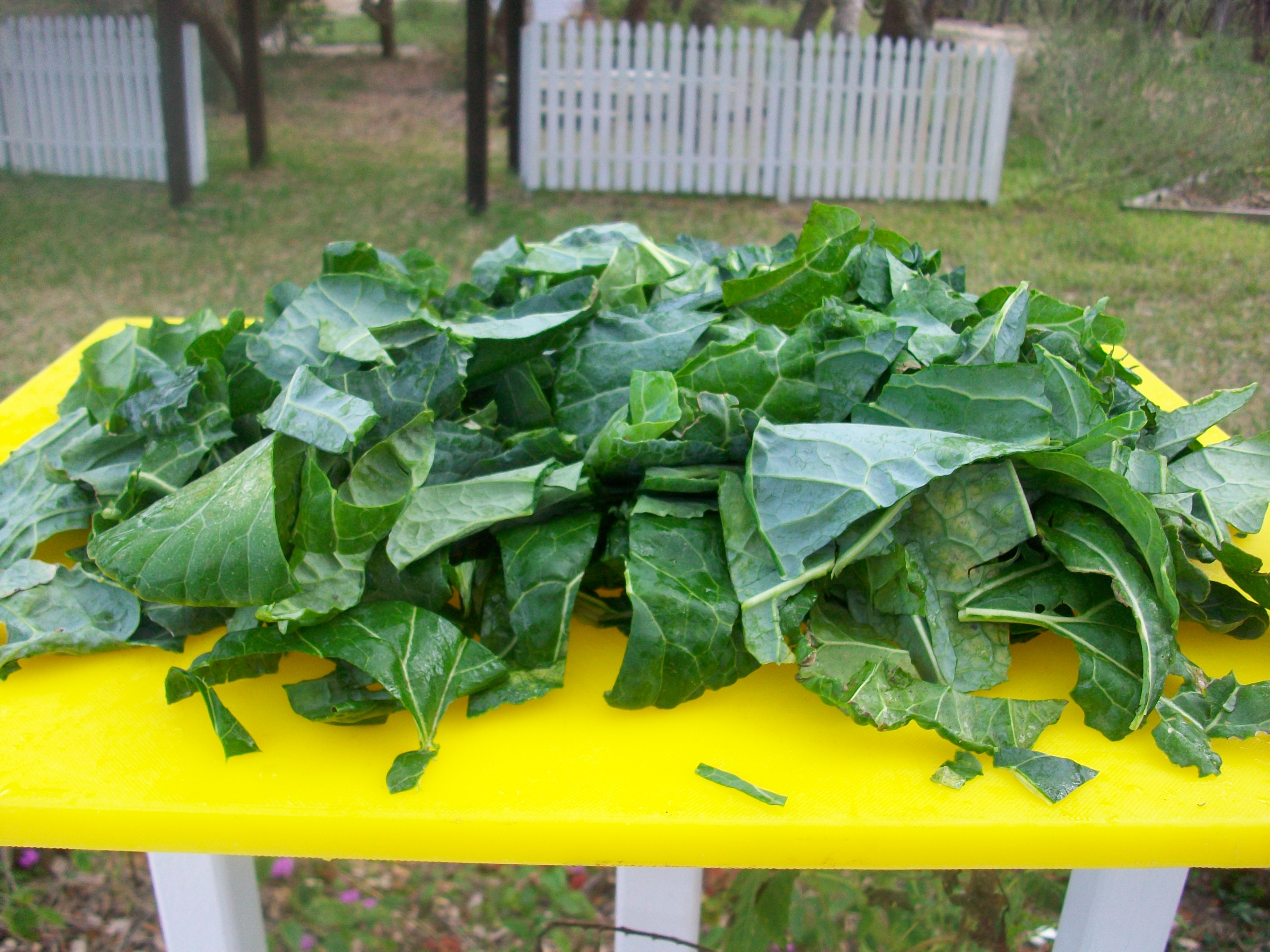 Collard Greens Recipe - Four String Farm Four String Farm