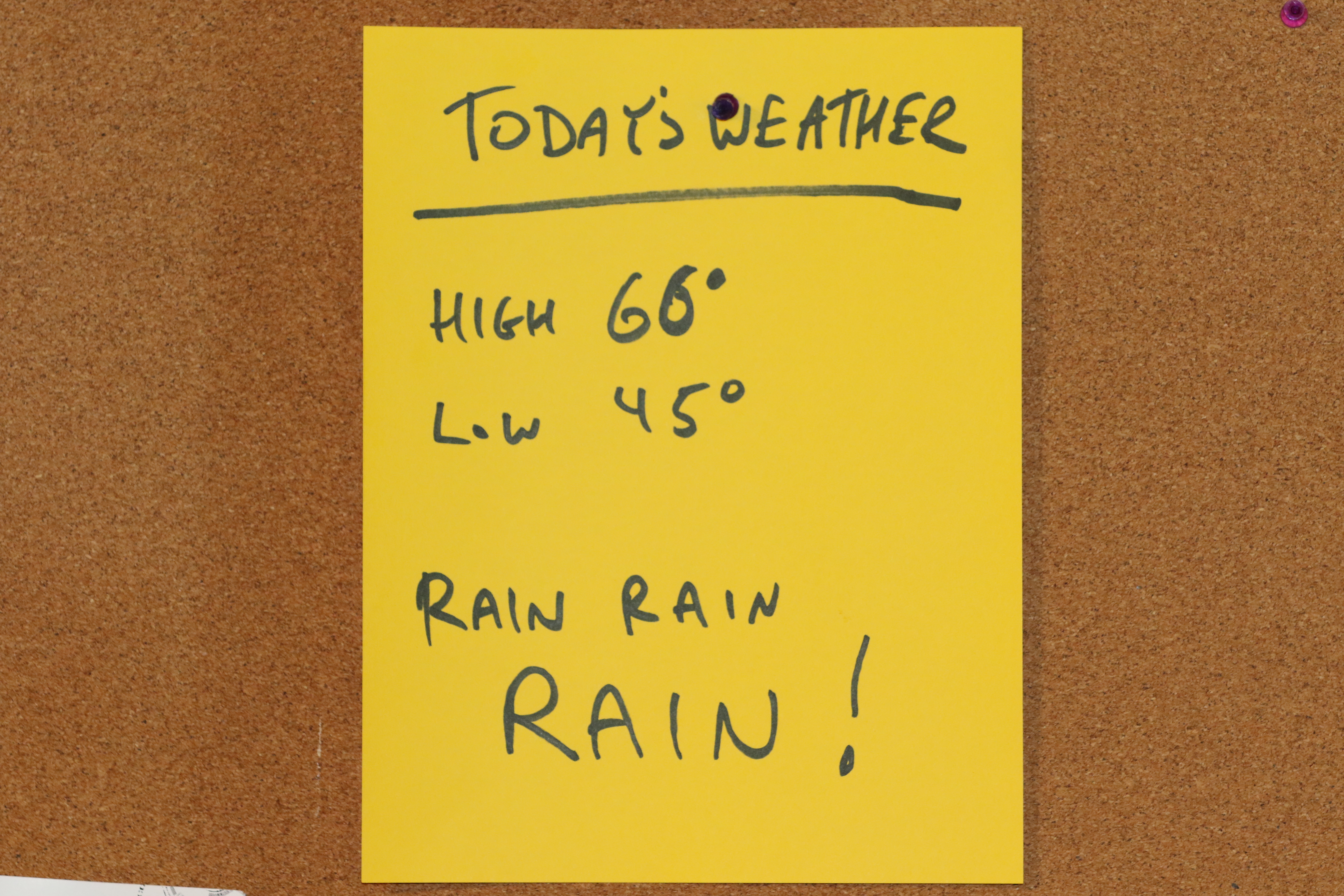 Infinitus 100 Miler – 2017 – Fox-Runner