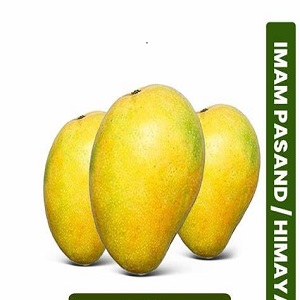 Mango (Imam Pasand/ Himayat) - FPOhub