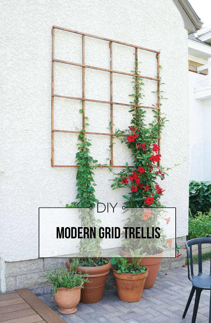 Build a Modern Grid Trellis from Garden Stakes - Francois et Moi